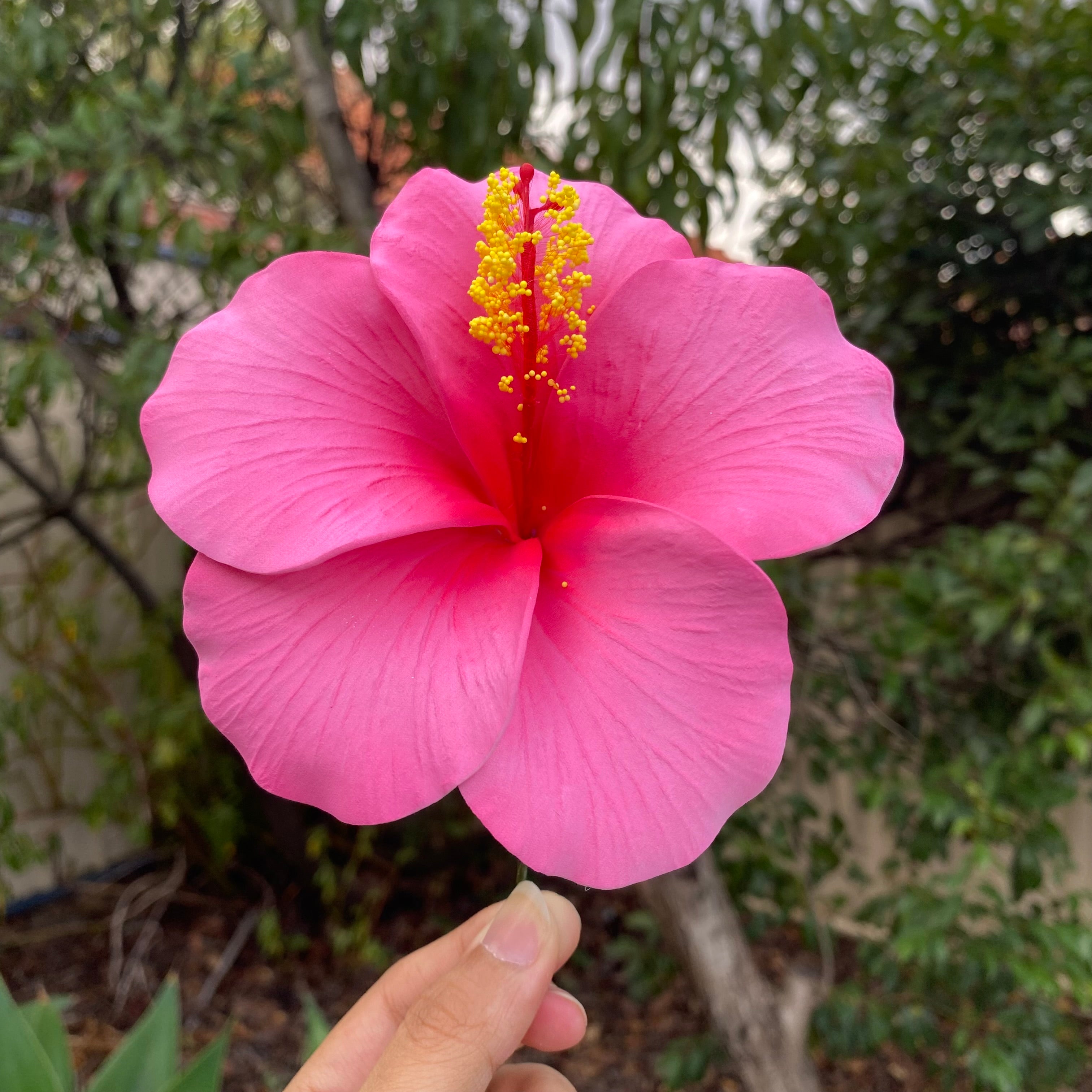 Island Aesthetica Polynesian Accessories Sei Flowers