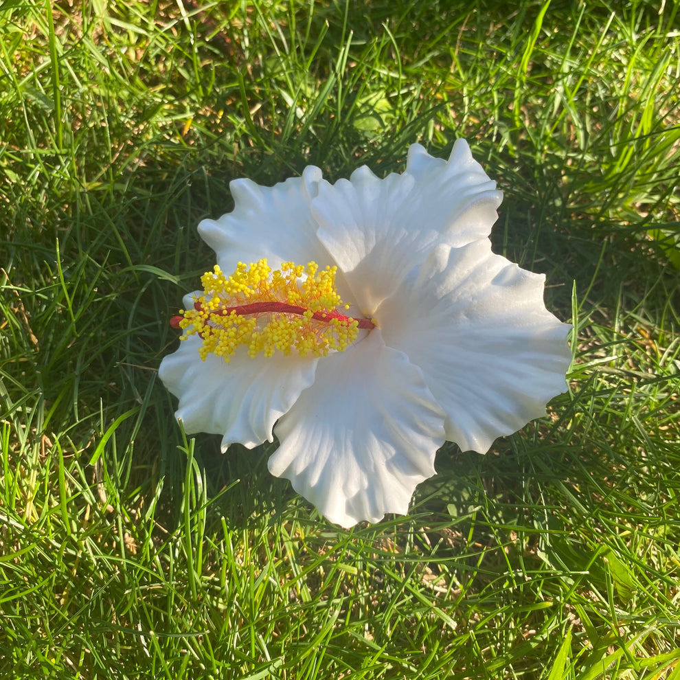 Lagi White Hibiscus Sei Aute Hair Flowers 8cm Tekiteki – Island Aesthetica