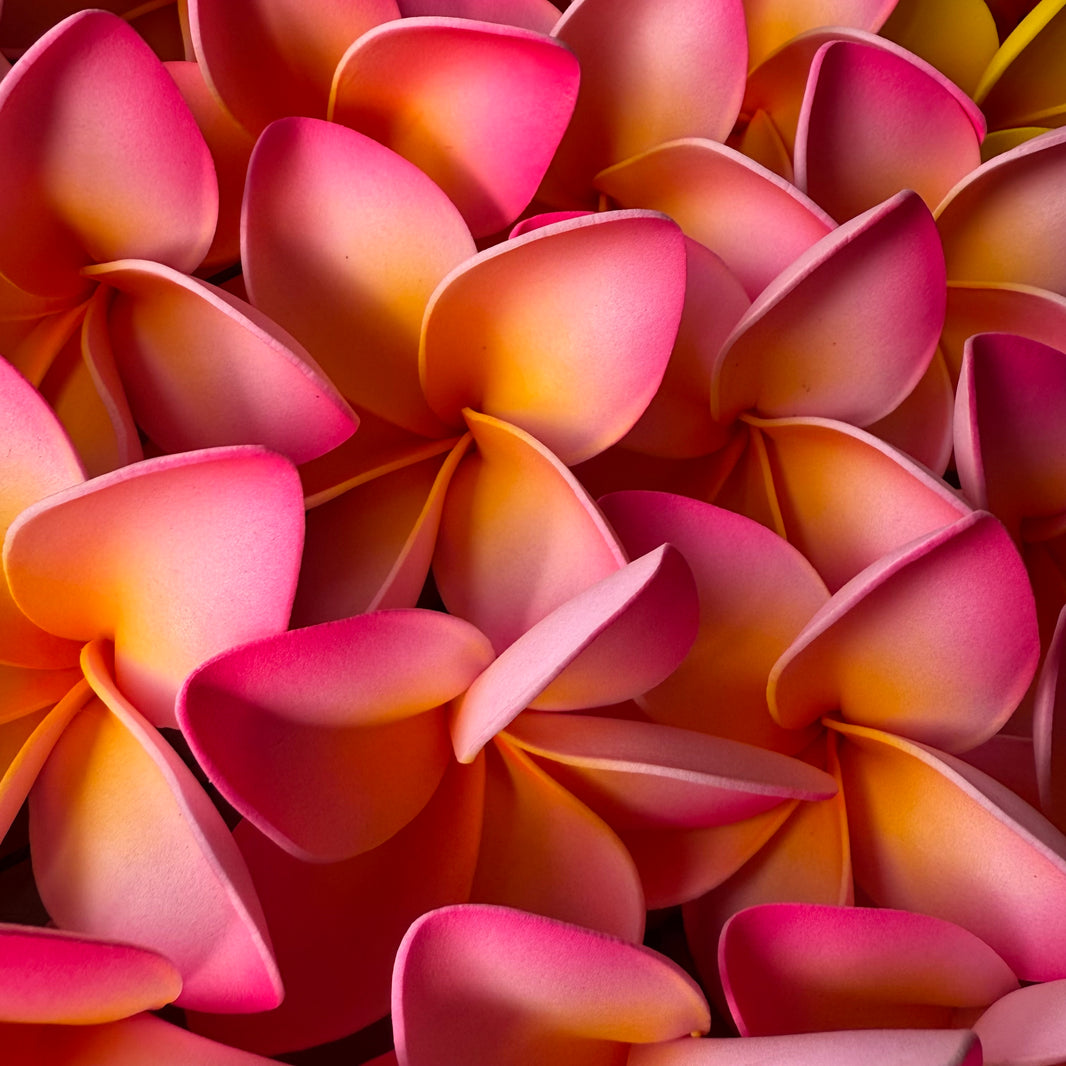 Island Aesthetica Polynesian Accessories Sei Flowers