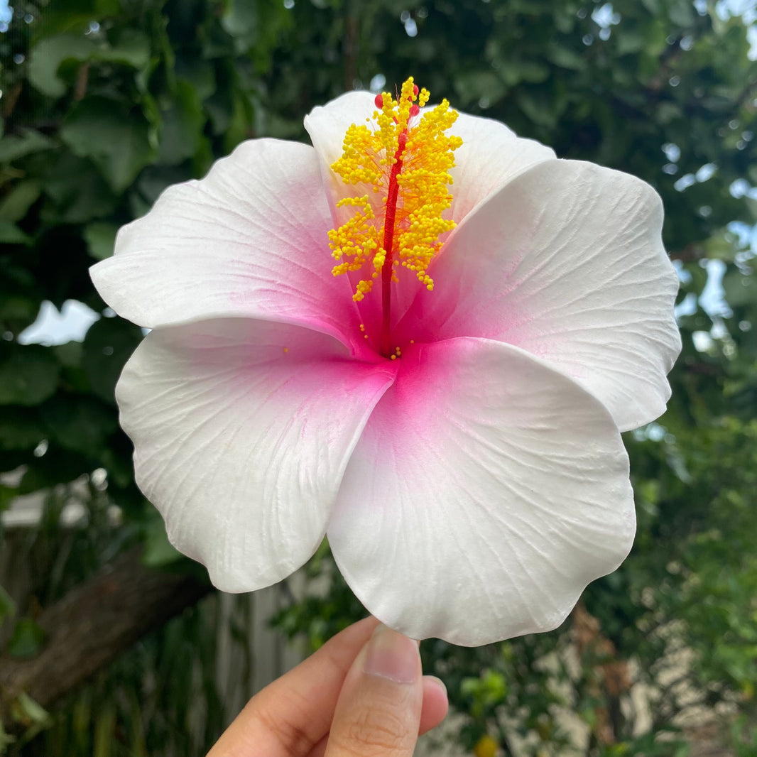 Island Aesthetica Polynesian Accessories Sei Flowers