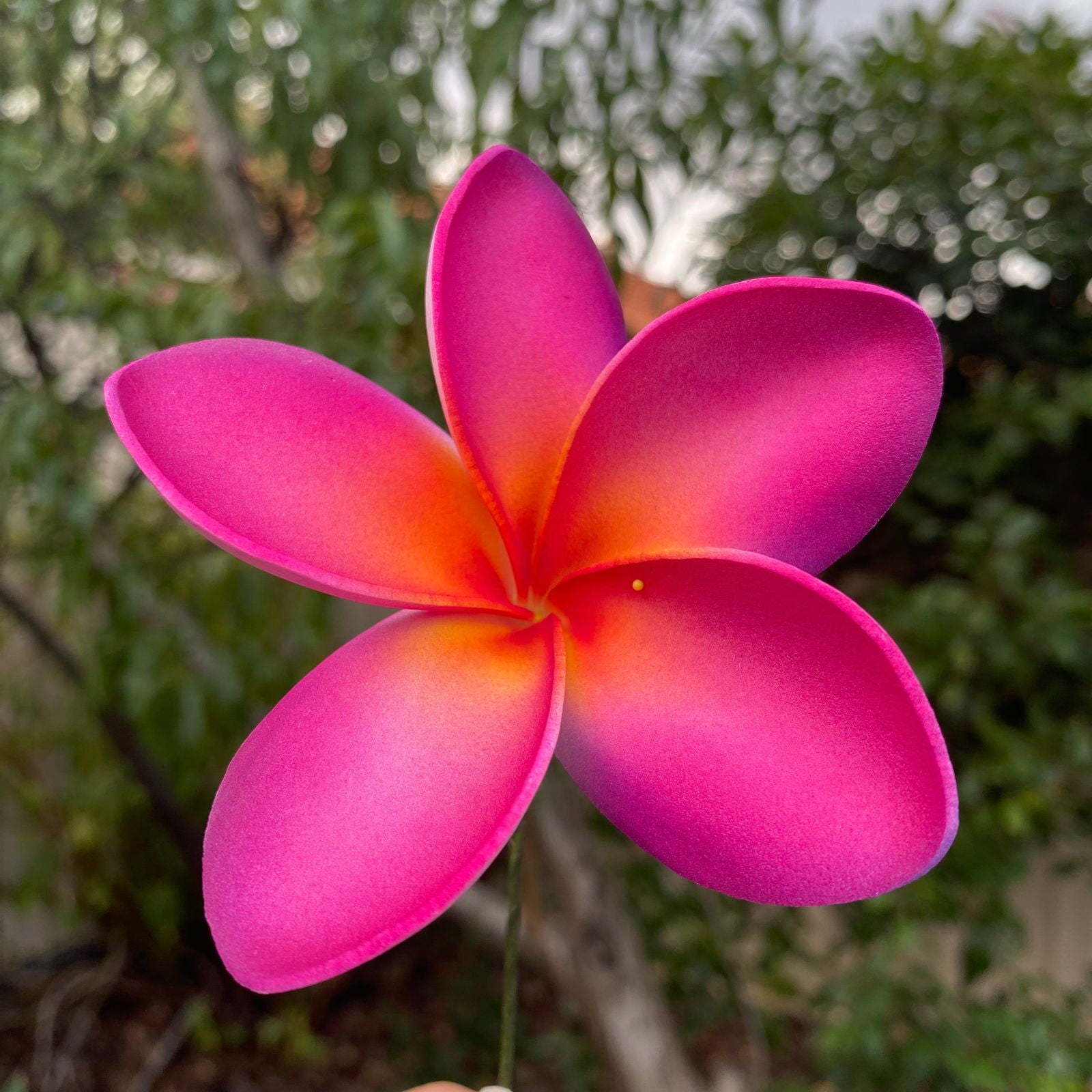 Cataleya Large Frangipani Sei Faux Hair Flowers Pacific Islander Women ...