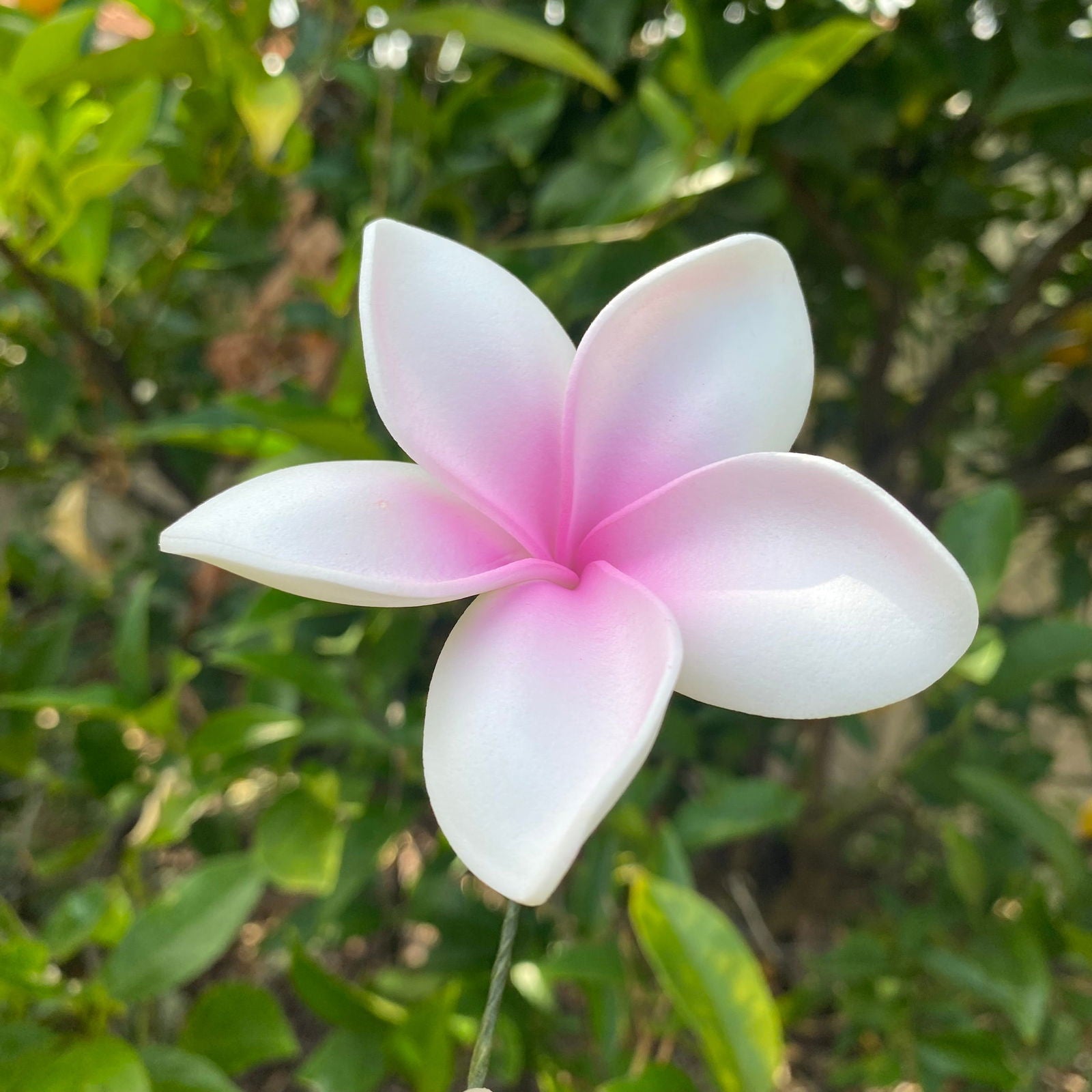 Island Aesthetica Polynesian Accessories Sei Flowers