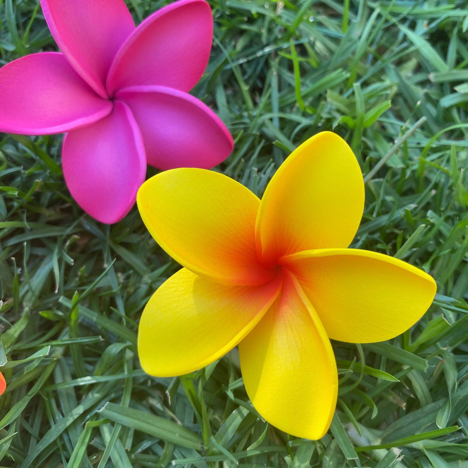 Island Aesthetica Polynesian Accessories Sei Flowers