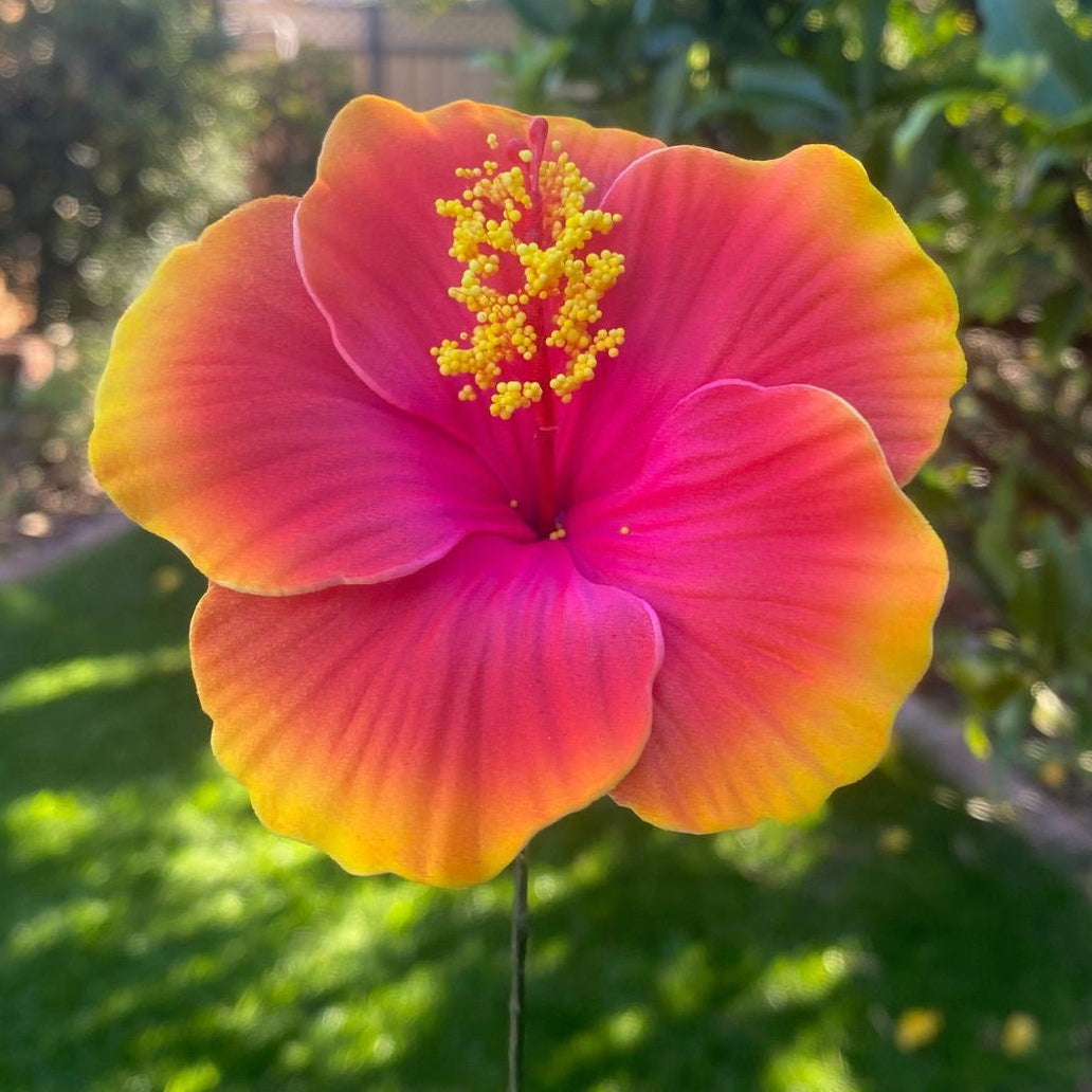 Island Aesthetica Polynesian Accessories Sei Flowers