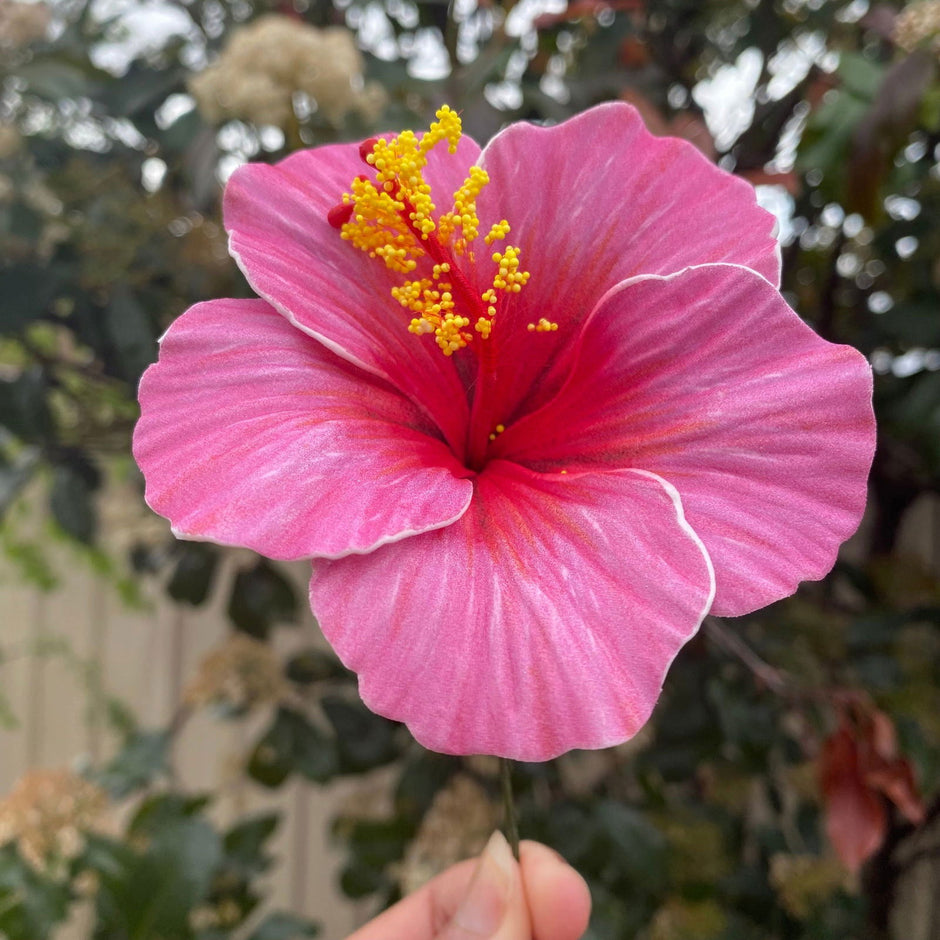 Island Aesthetica Polynesian Accessories Sei Flowers