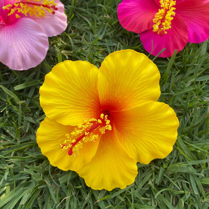 Island Aesthetica Polynesian Accessories Sei Flowers