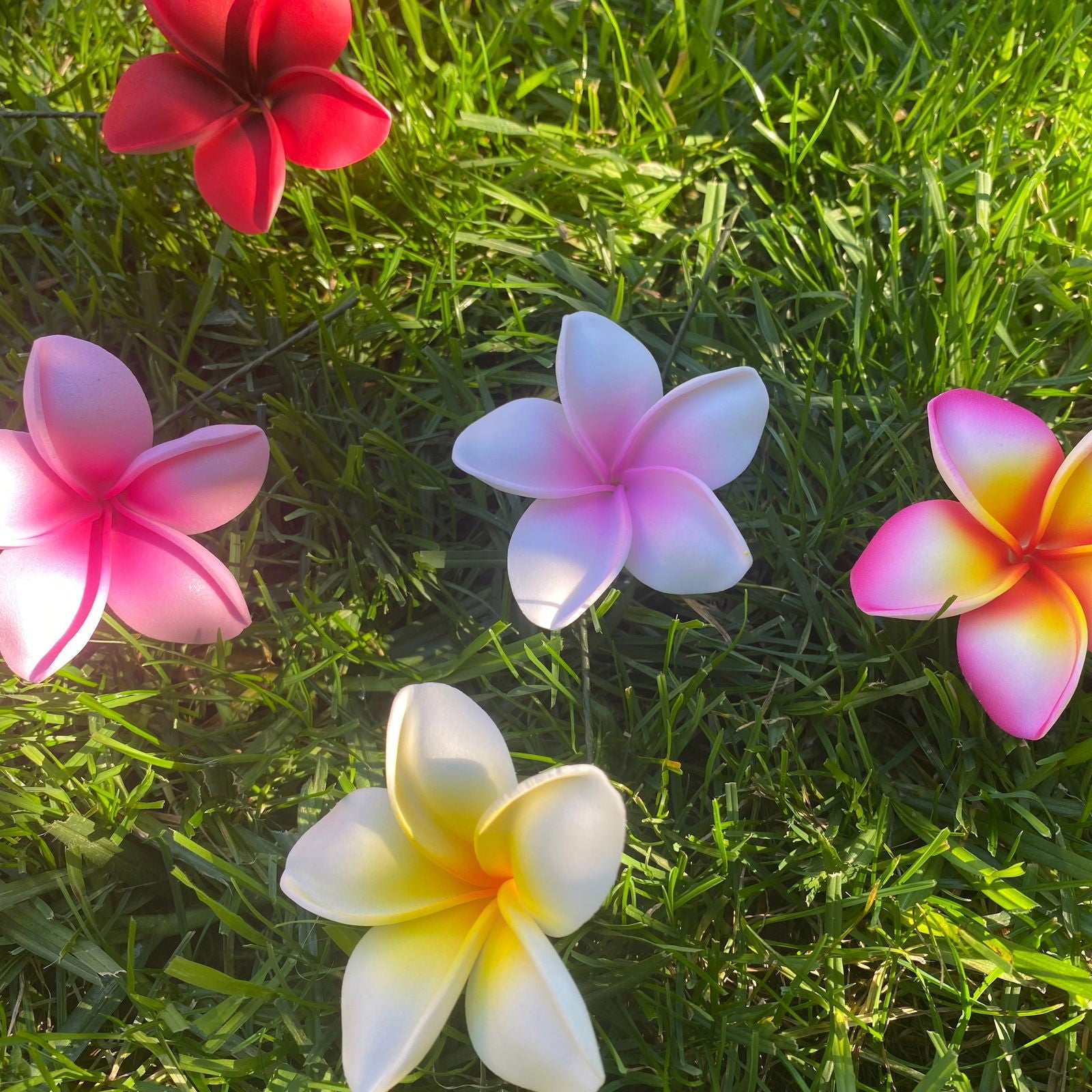 Island Aesthetica Polynesian Accessories Sei Flowers