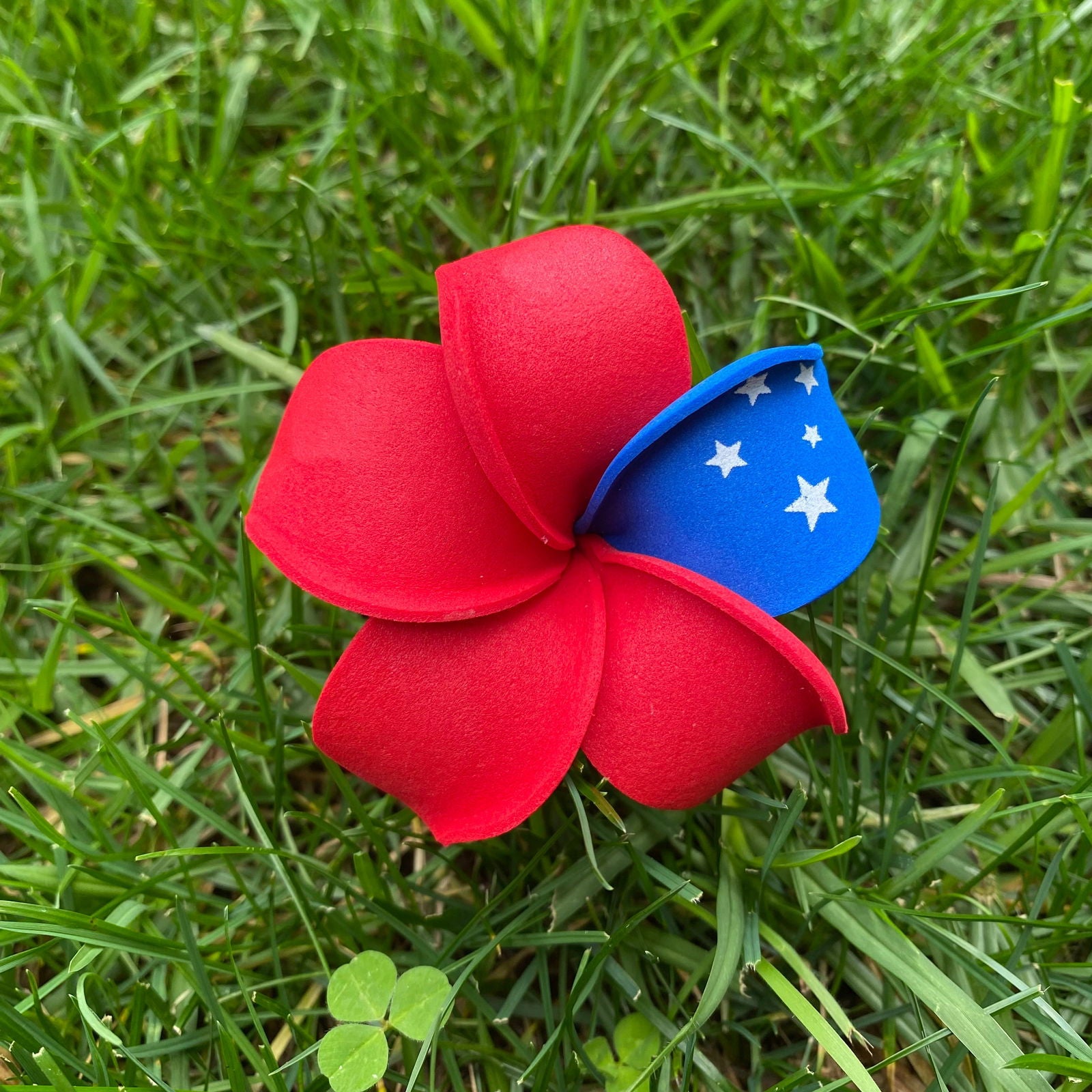 Samoan & Tongan Flag Frangipani Sei Flowers – Island Aesthetica