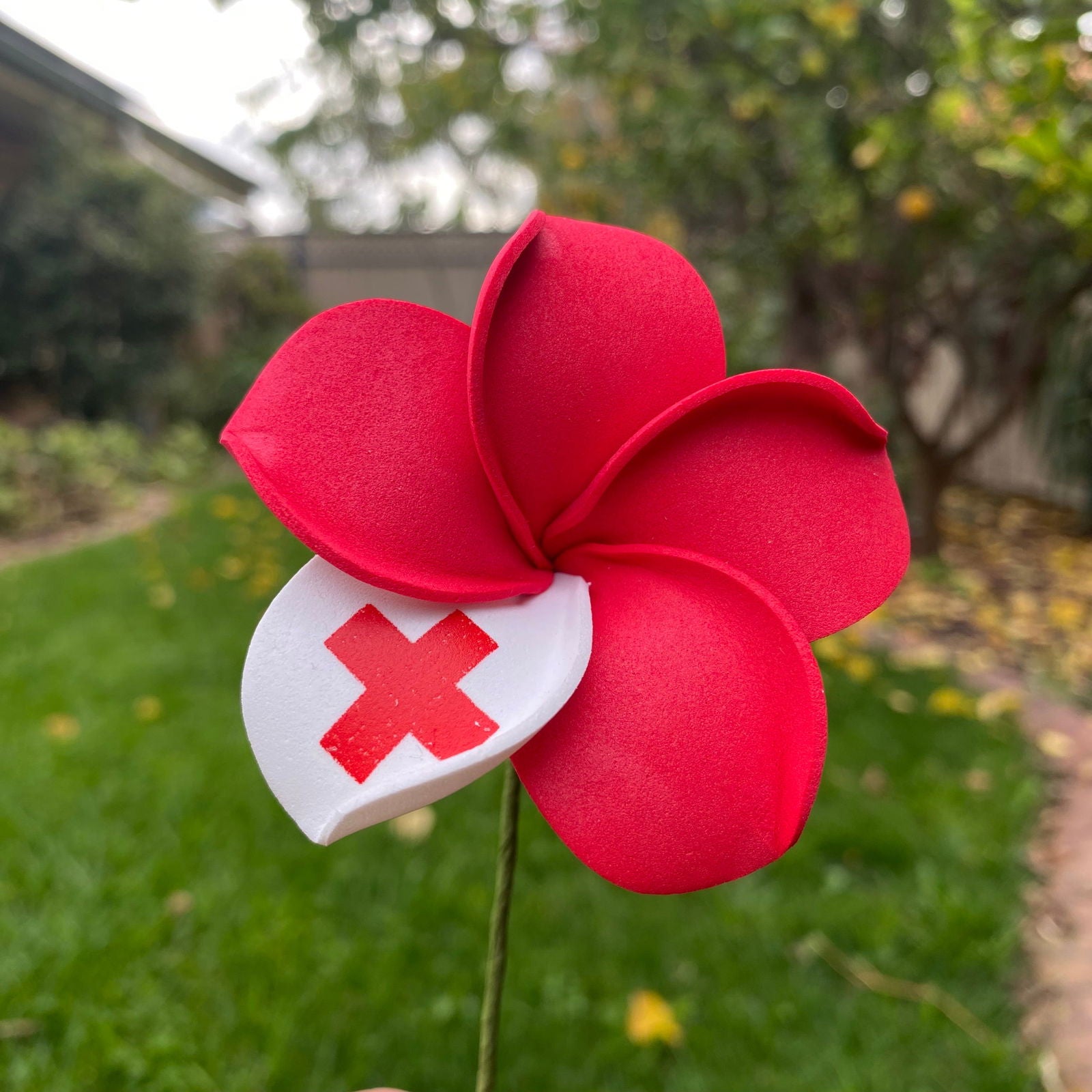 Samoan & Tongan Flag Frangipani Sei Flowers – Island Aesthetica