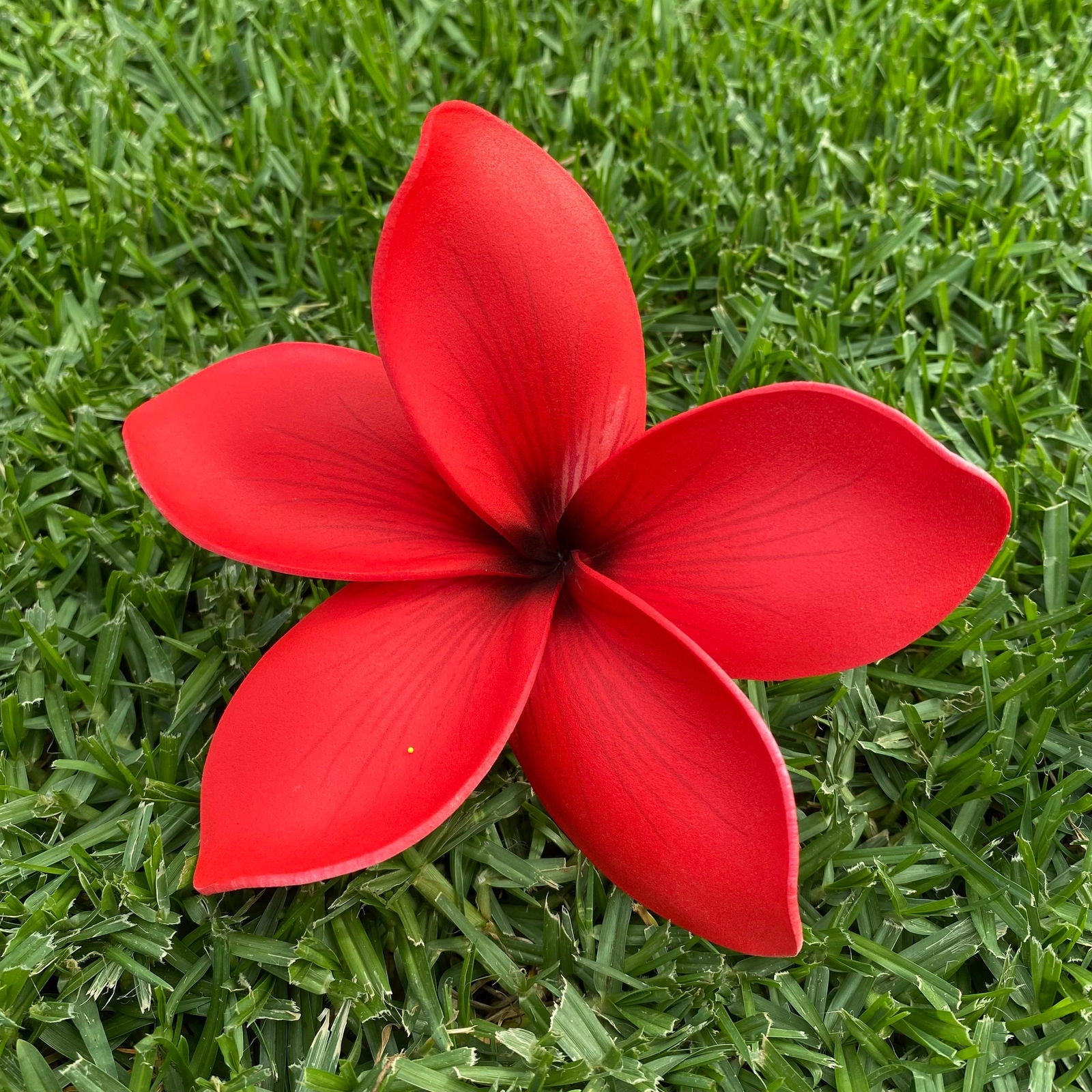XXL Frangipani Sei Faux Hair Flowers Pacific Islander Womens Accessori ...
